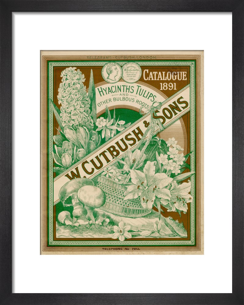 W Cutbush & Sons catalogue 1891 – RHS Prints