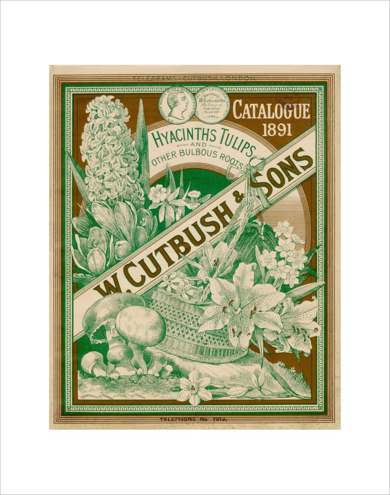 W Cutbush & Sons catalogue 1891 – RHS Prints