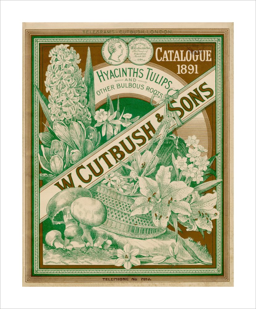 W Cutbush & Sons catalogue 1891 – RHS Prints